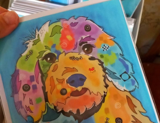 Shavington Academy - Shavington Spirit